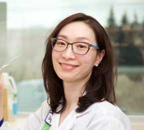 Embassy Ingredients - Manufacturer of flavour & bakery ingredients